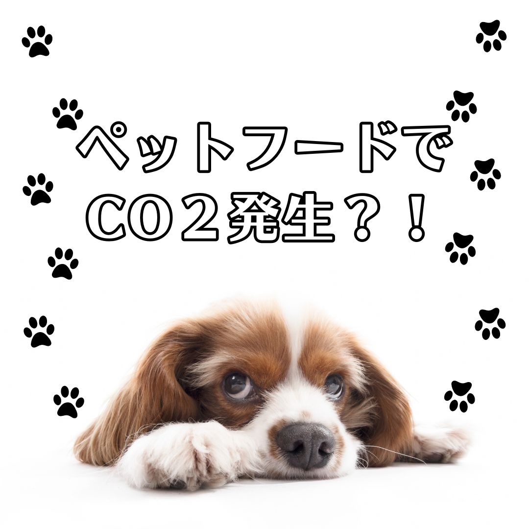 ペットフードでCO2発生 - 豊栄産業株式会社