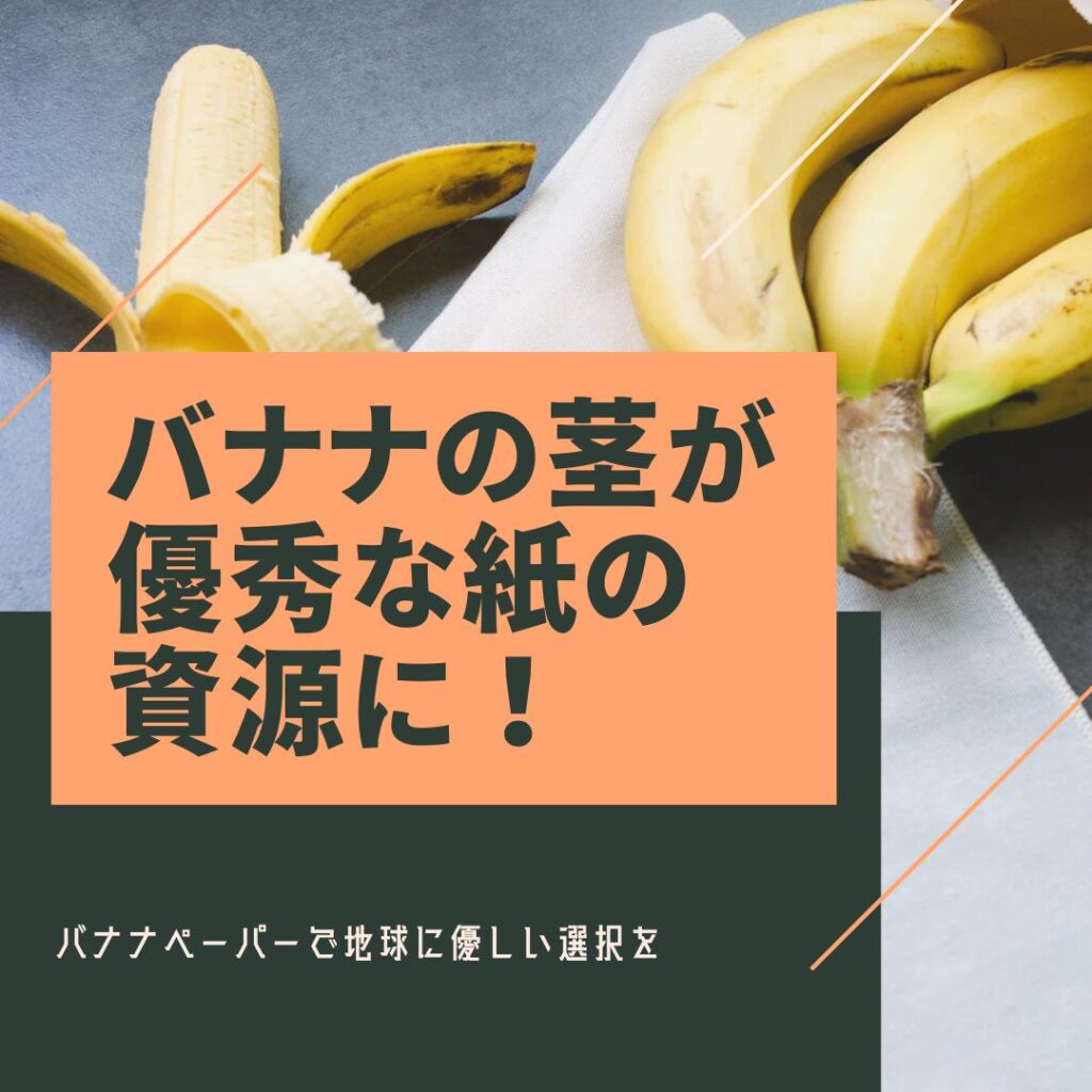 バナナの茎が優秀な紙の資源に！｜バナナペーパーで地球に優しい選択を - 豊栄産業株式会社